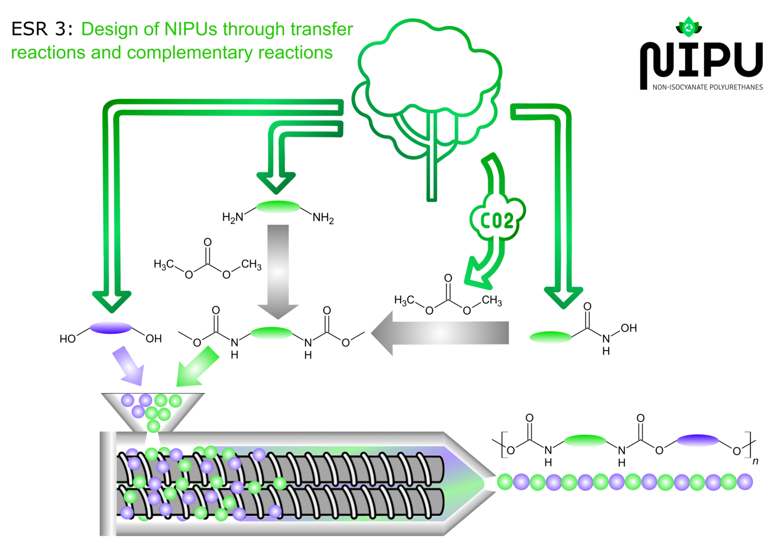 Research – NIPU-EJD