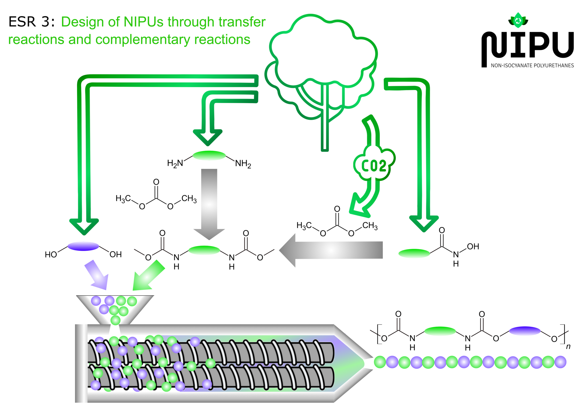 Research – NIPU-EJD